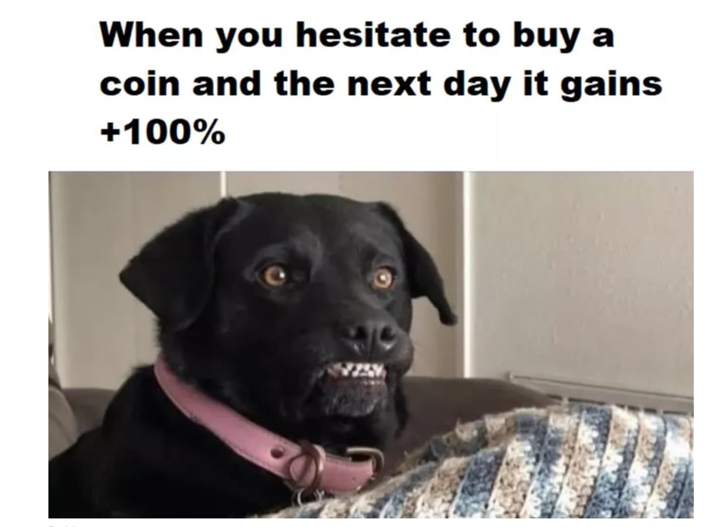 31 Funny & Relatable Cryptocurrency Memes