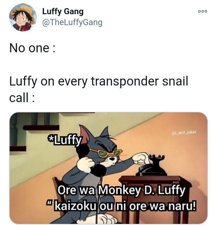 20 Hilarious Luffy Memes That Will Have You Crying From Laughter
