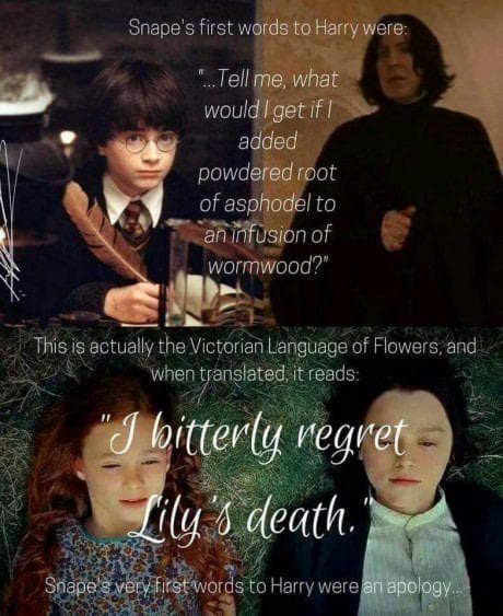 Harry Potter: Sad Things About Hogwarts Professors Fans Are Sharing