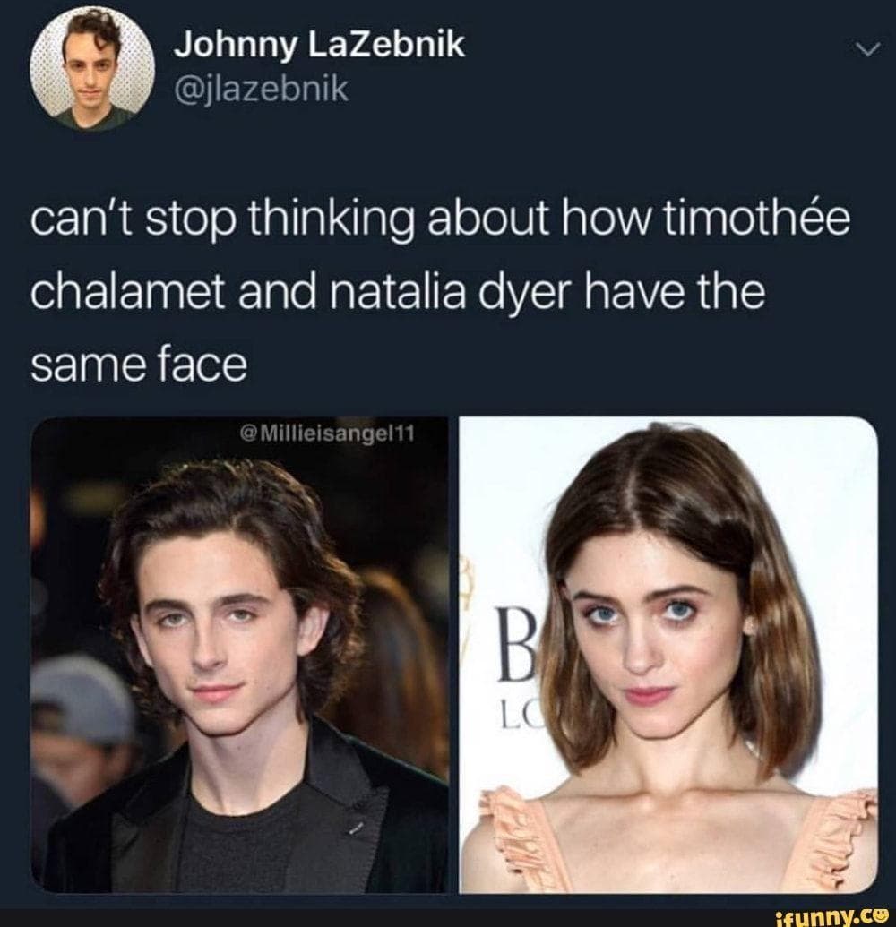 Funny Timothée Chalamet Memes That Make You Like Him More