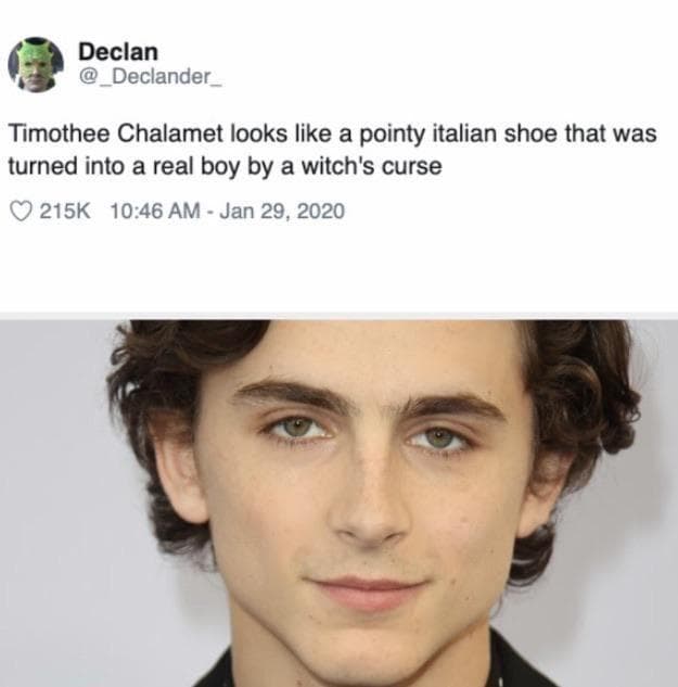 Funny Timothée Chalamet Memes That Make You Like Him More