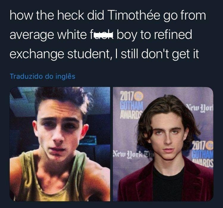 Funny Timothée Chalamet Memes That Make You Like Him More