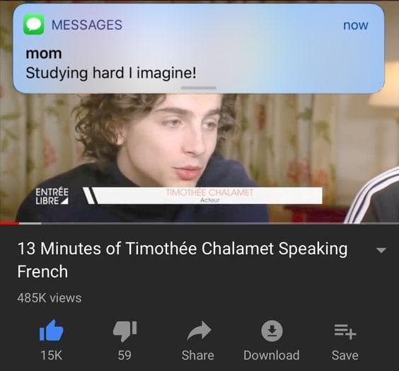 Funny Timothée Chalamet Memes That Make You Like Him More