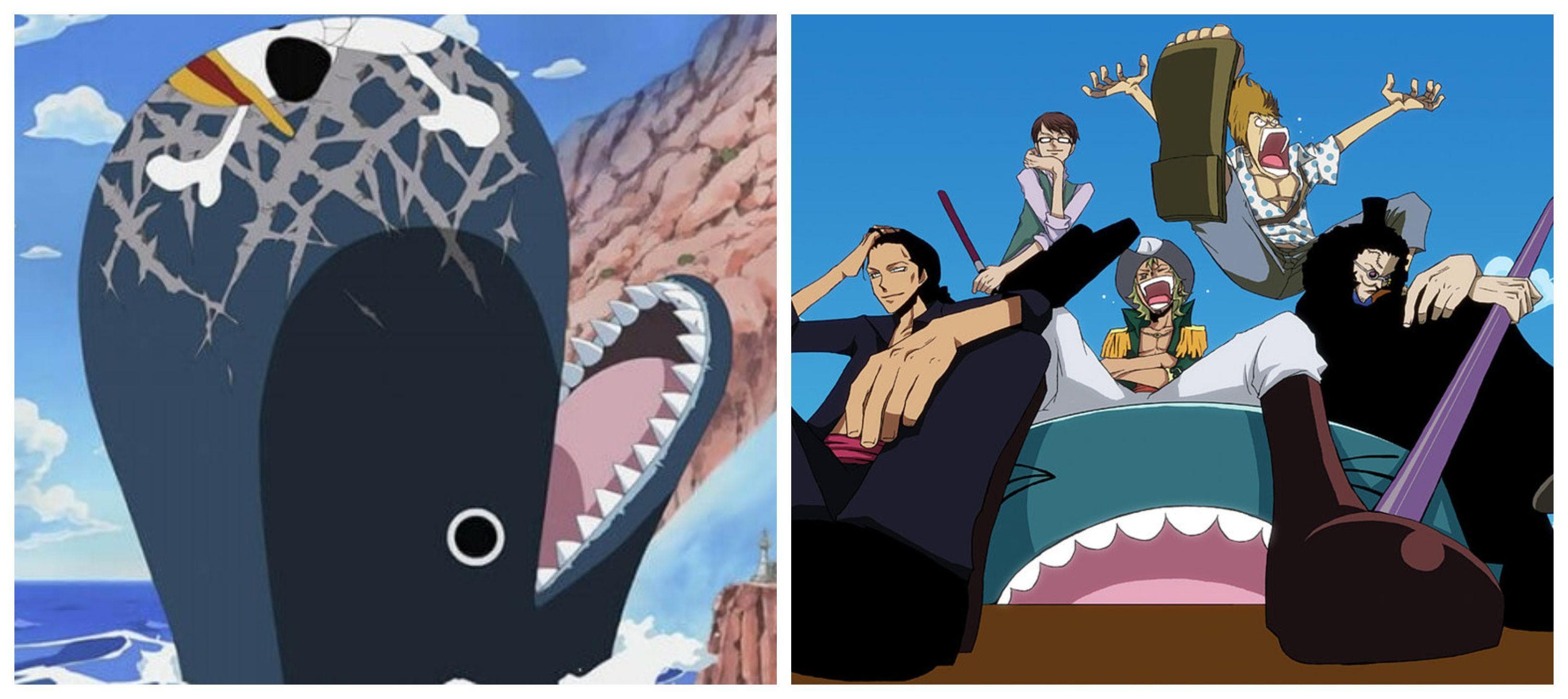 15 Genius Examples Of Long-Term Planning In 'One Piece'