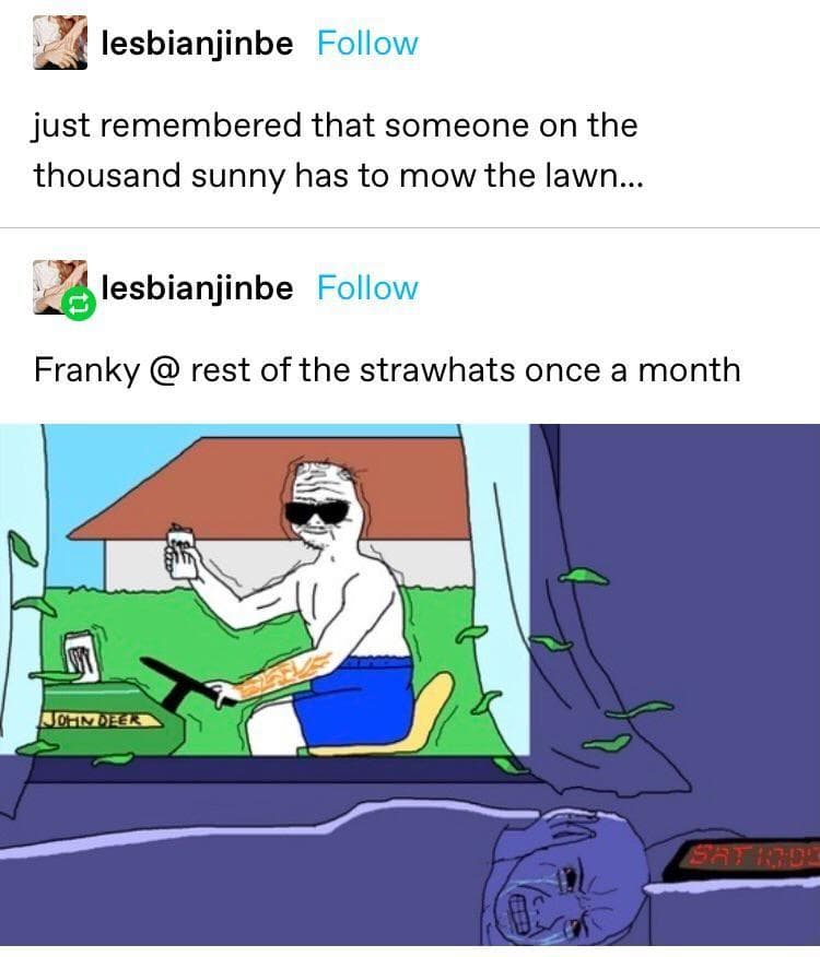 17 Funny Memes About Franky That We Laughed Way Too Hard At