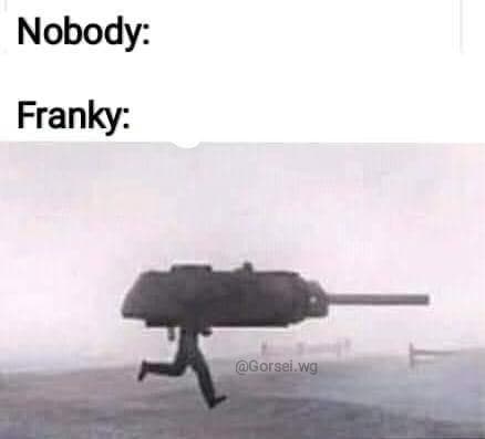 17 Funny Memes About Franky That We Laughed Way Too Hard At