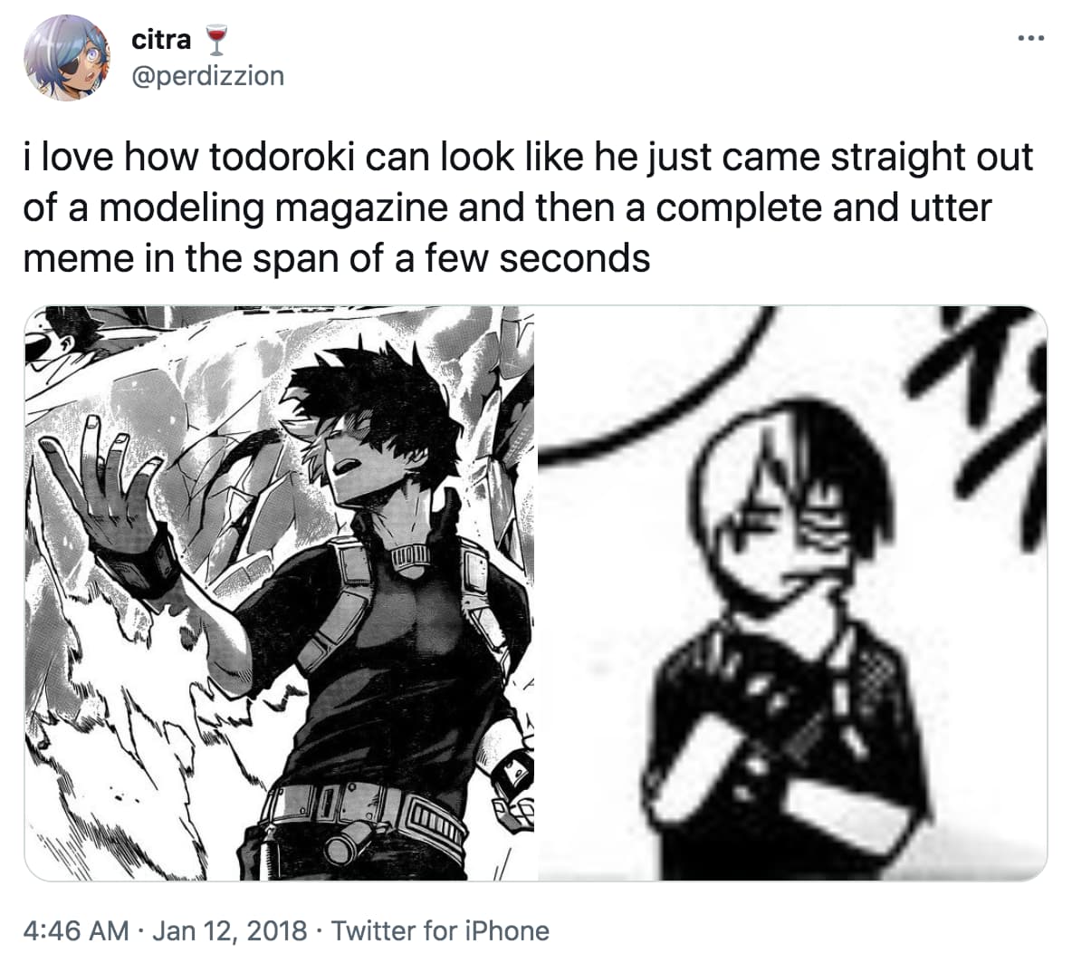 20 MHA Fans Share Something About Shouto Todoroki We Never Noticed Before