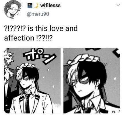 20 MHA Fans Share Something About Shouto Todoroki We Never Noticed Before