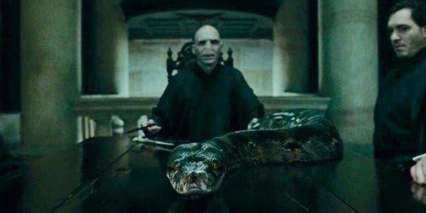 Fans Are Sharing Obscure 'Harry Potter' Lore About Horcruxes