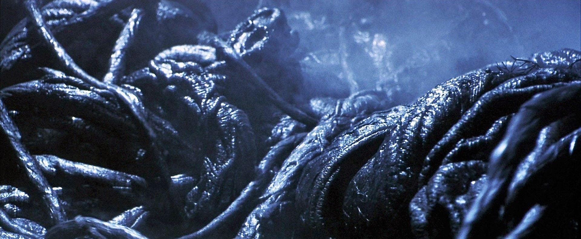 Things You Didn't Know About Deaths In 'Harry Potter'