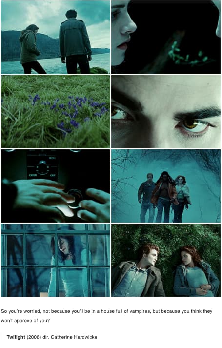 23 Fans Share Things About 'The Twilight Saga' That We Can't Unsee