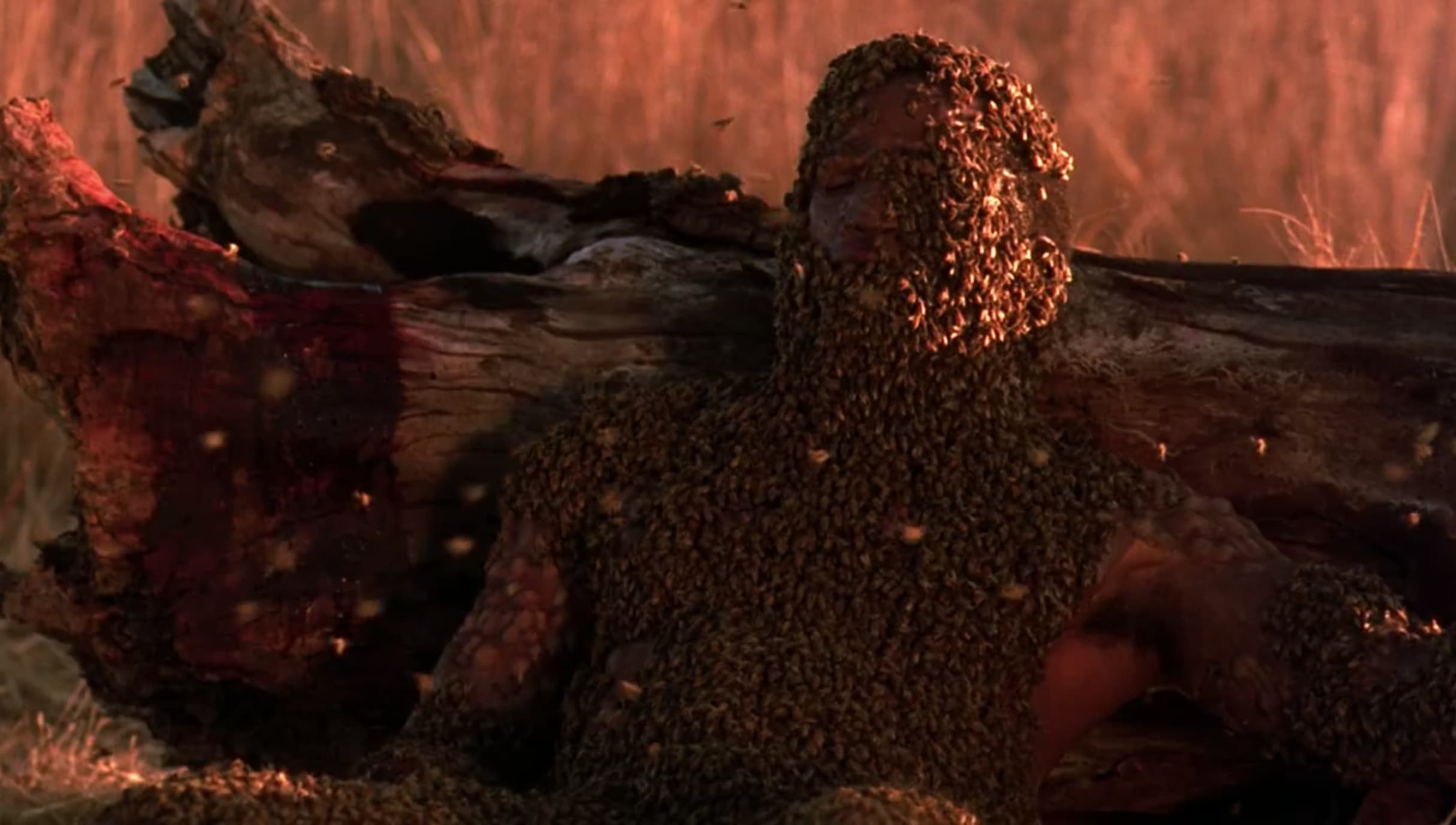 The Dark History Of Daniel Robitaille, AKA Candyman