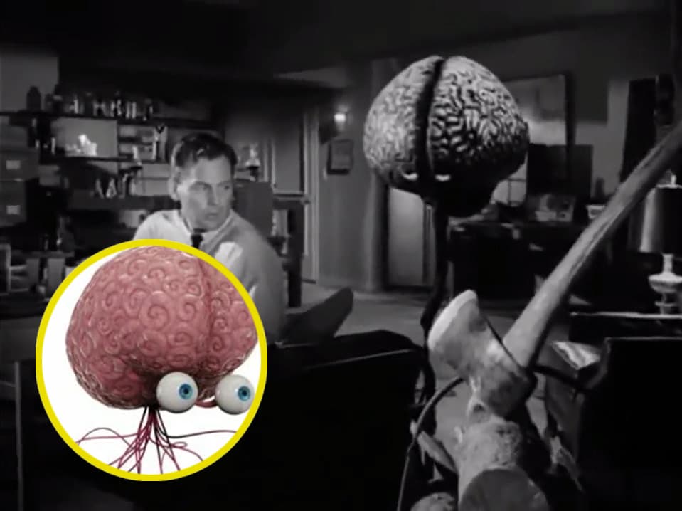 13 Biting Details From The 'Hotel Transylvania' Movies