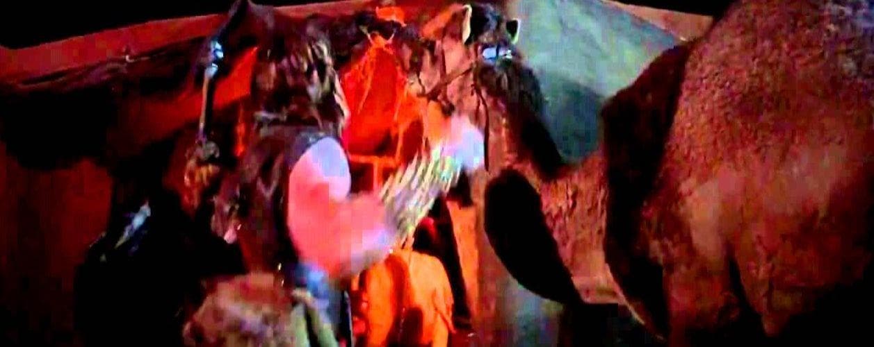 12 Times Characters Punched Animals In The Face