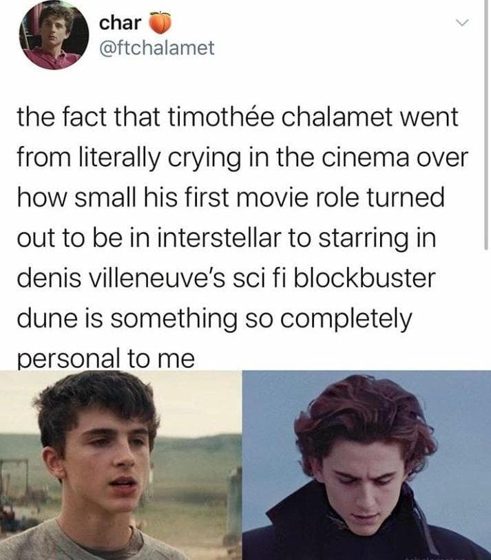 Funny Timothée Chalamet Memes That Make You Like Him More