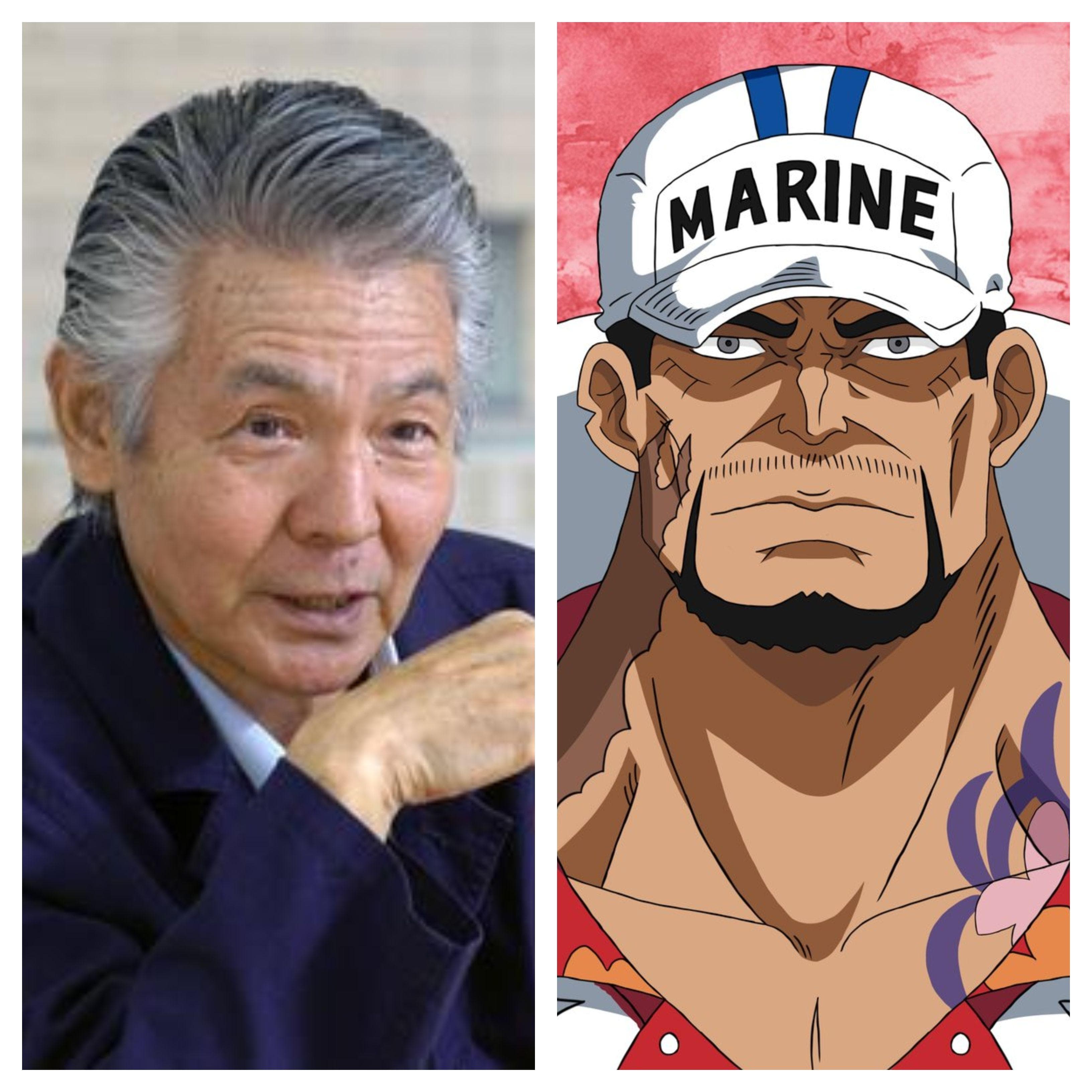 15 Things You Didn't Know About Marines in One Piece