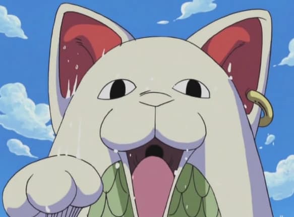 15 Things You Didn't Know About Animals in One Piece