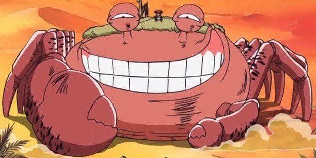 15 Things You Didn't Know About Animals in One Piece