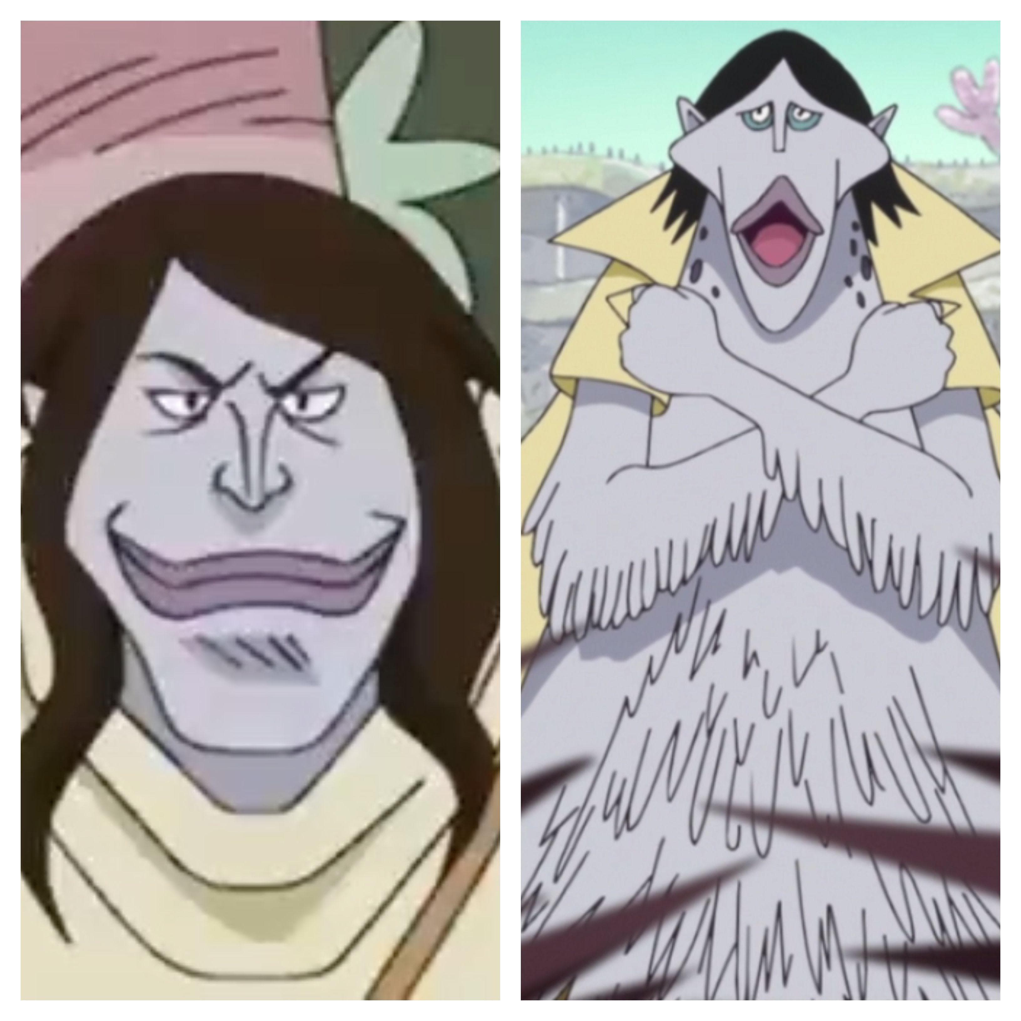 20 Things You Didn't Know About Fish-Men in One Piece