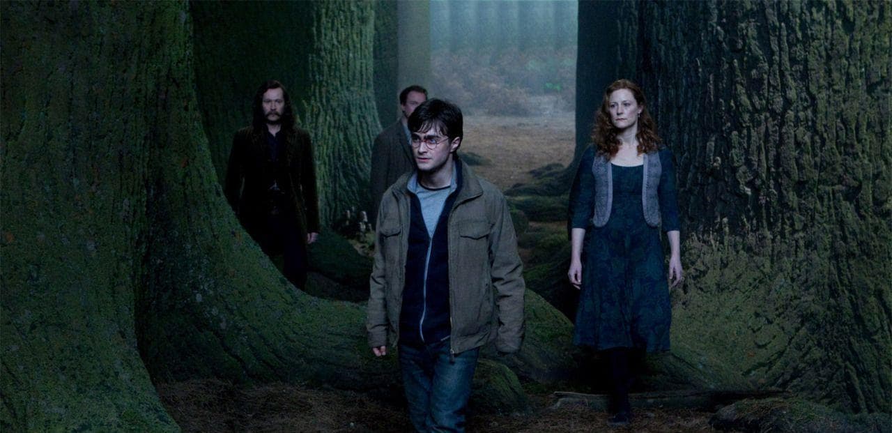 Things You Didn't Know About The Rules Of Magic In The Wizarding World