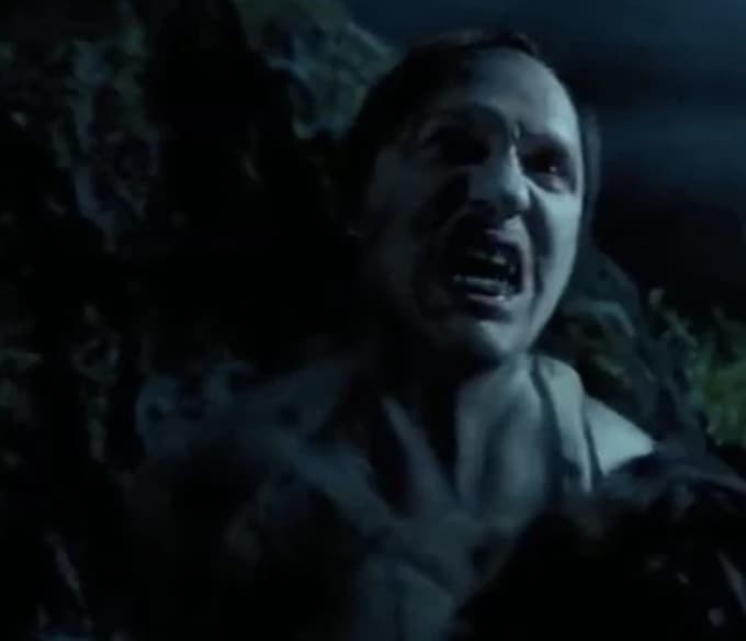 Fans Are Sharing Obscure 'Harry Potter' Lore About Werewolves