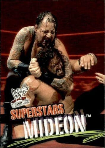 Your Favorite '90s Wrestlers Then And Now