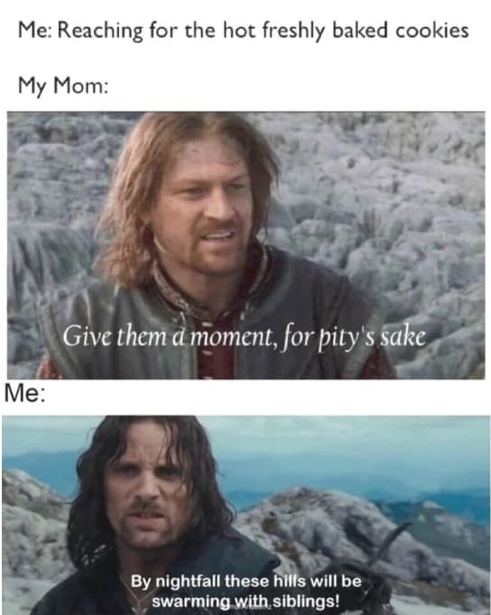 27 Memes That Prove 'The Lord Of The Rings' Is The Best Thing In All Of ...