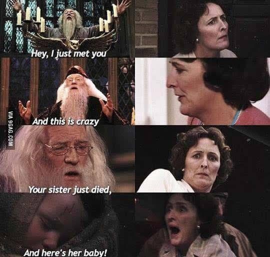 18 Hilarious Dumbledore Memes That Avid Potterheads Will Appreciate