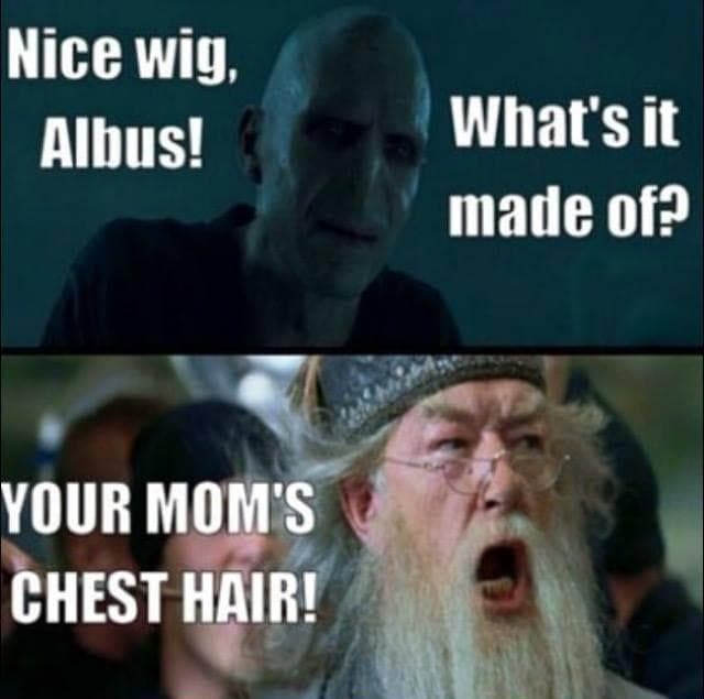 18 Hilarious Dumbledore Memes That Avid Potterheads Will Appreciate