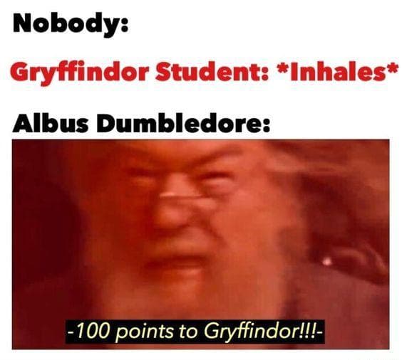 18 Hilarious Dumbledore Memes That Avid Potterheads Will Appreciate