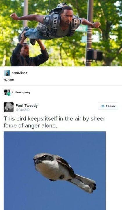 Fans Are Sharing Relatable Things They Noticed About Sam And Bucky