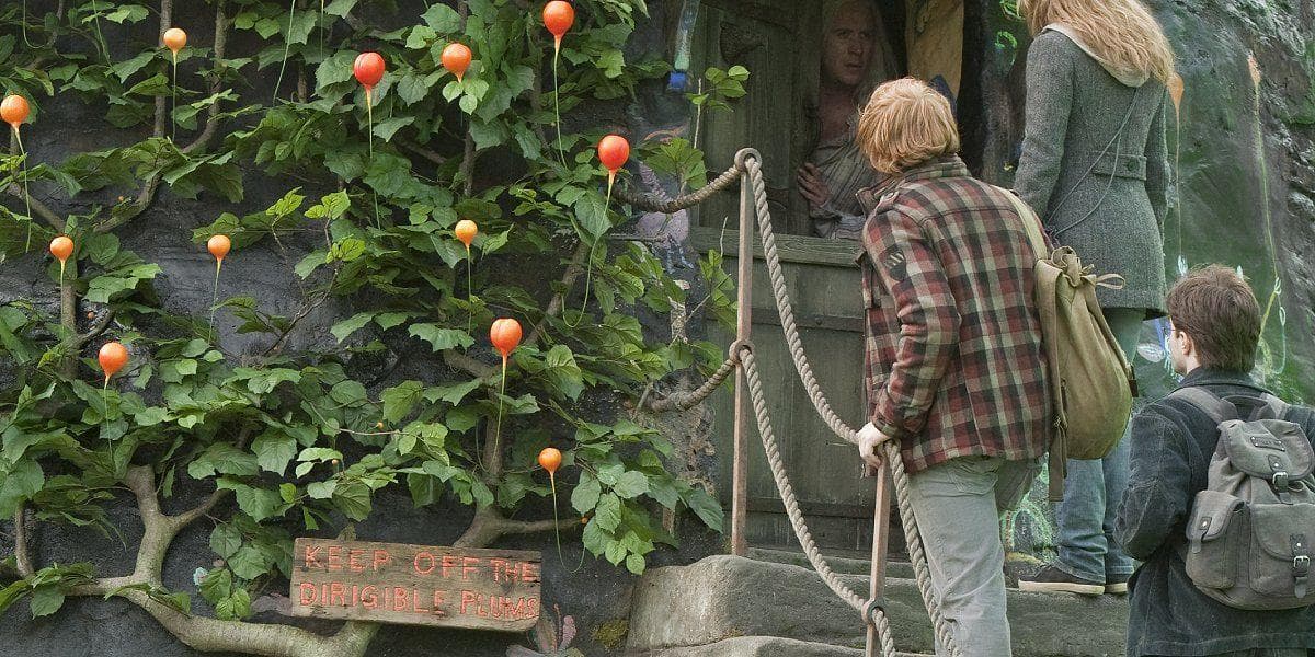 Things You Didn't Know About Magical Plants In The Wizarding World