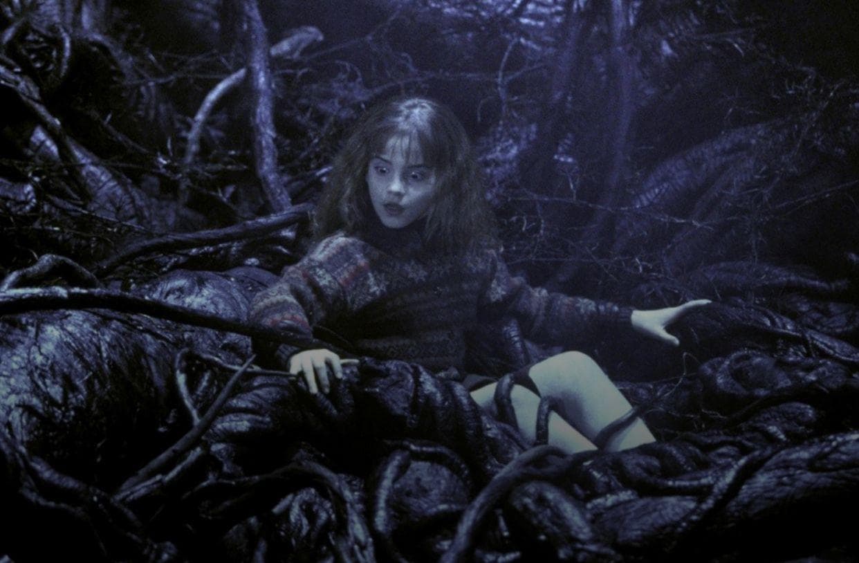 Things You Didn't Know About Magical Plants In The Wizarding World