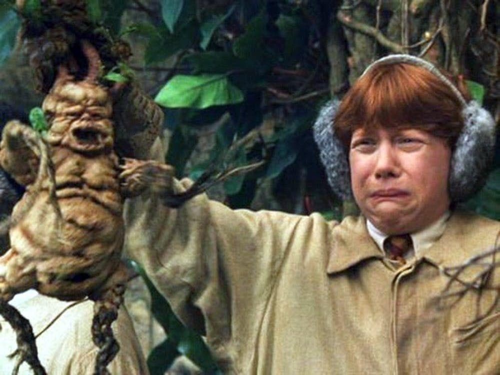 Things You Didn't Know About Magical Plants In The Wizarding World