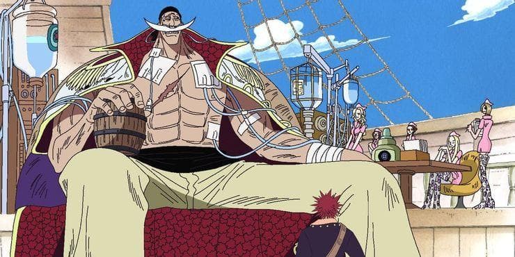 15 Things You Didn't Know About The Whitebeard Pirates In 'One Piece'