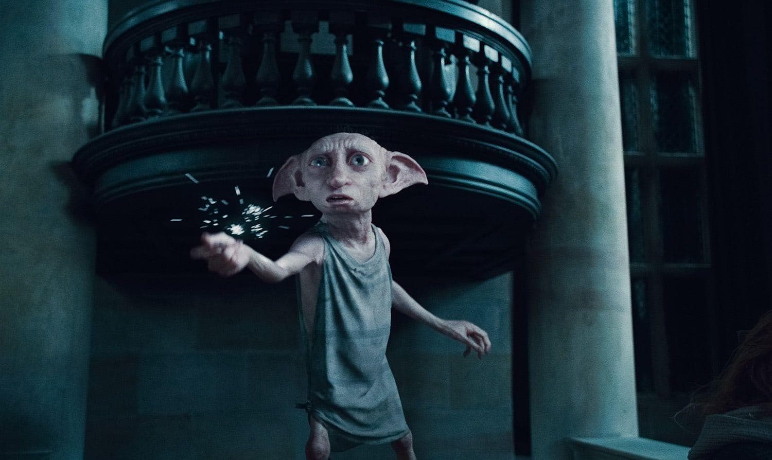 Things You Didn't Know About House Elves