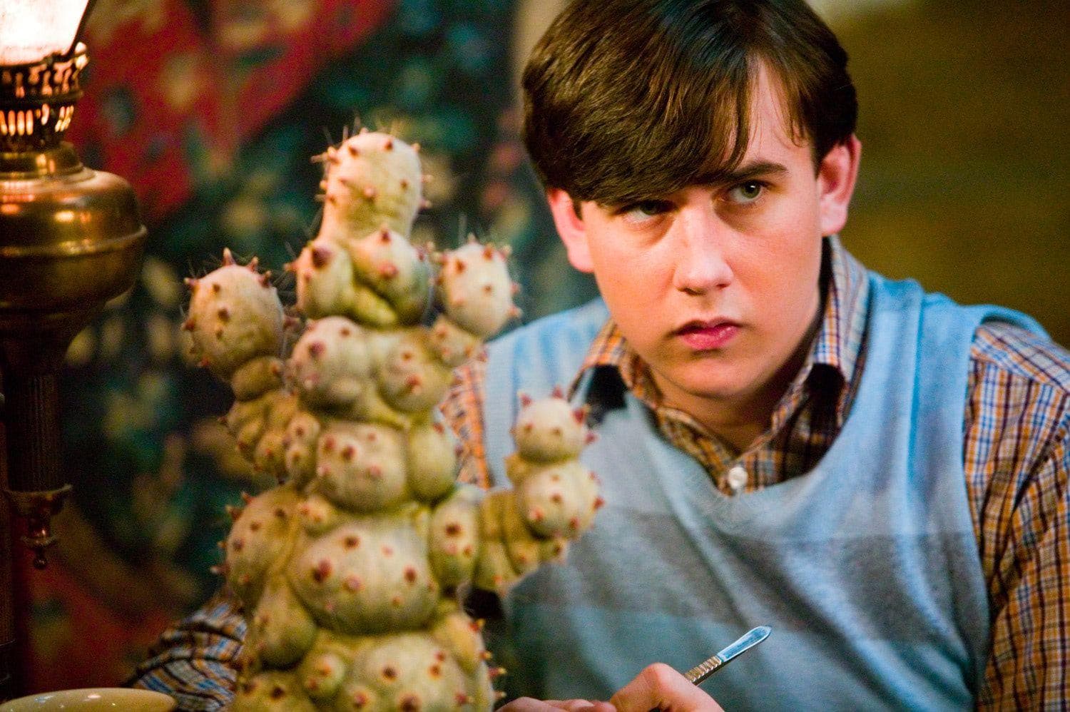 Things You Didn't Know About The Longbottom Family