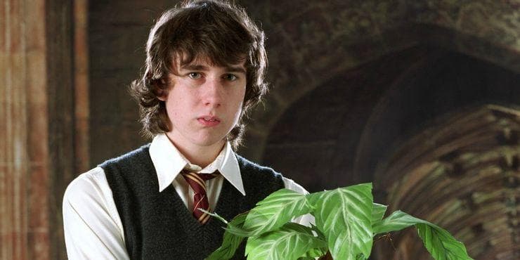 Things You Didn't Know About The Longbottom Family