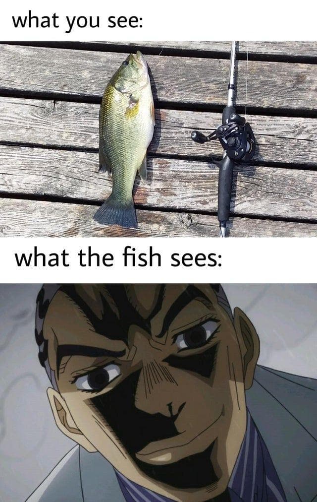 33 Fishing Memes That Had Us Reeling With Laughter