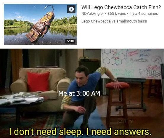 33 Fishing Memes That Had Us Reeling With Laughter