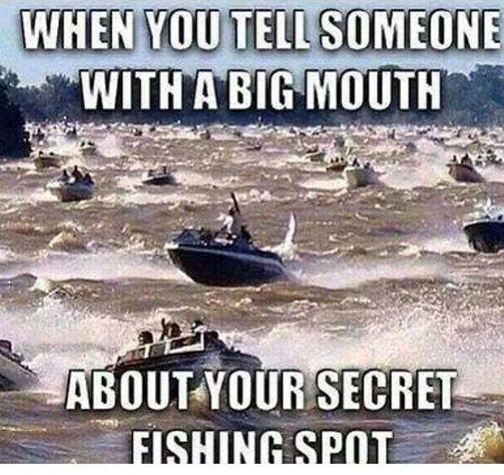 33 Fishing Memes That Had Us Reeling With Laughter
