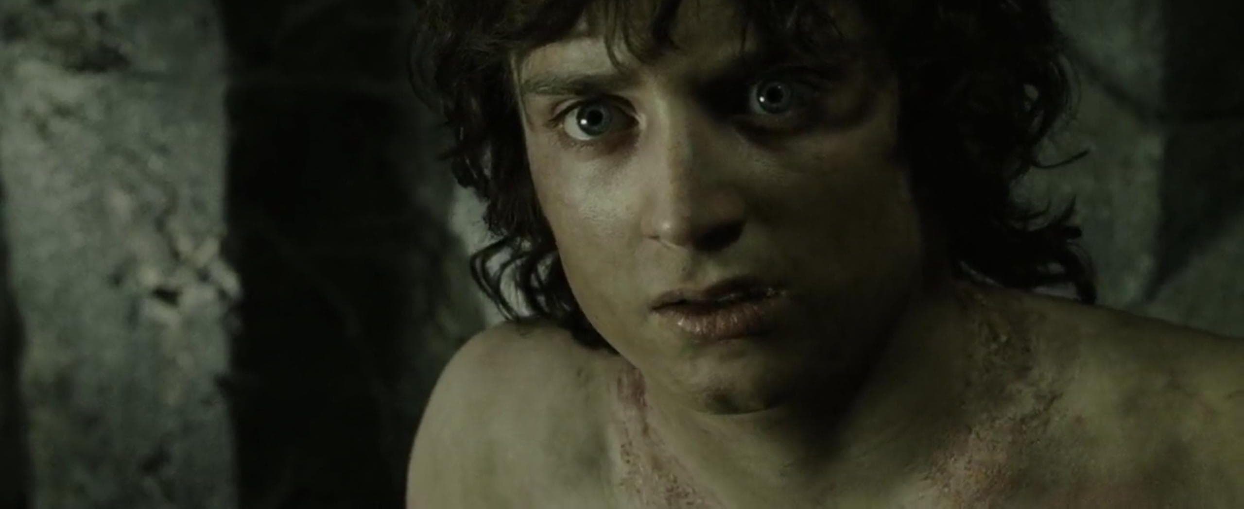 Small But Clever Details About Frodo That 'Lord Of The Rings' Fans Noticed