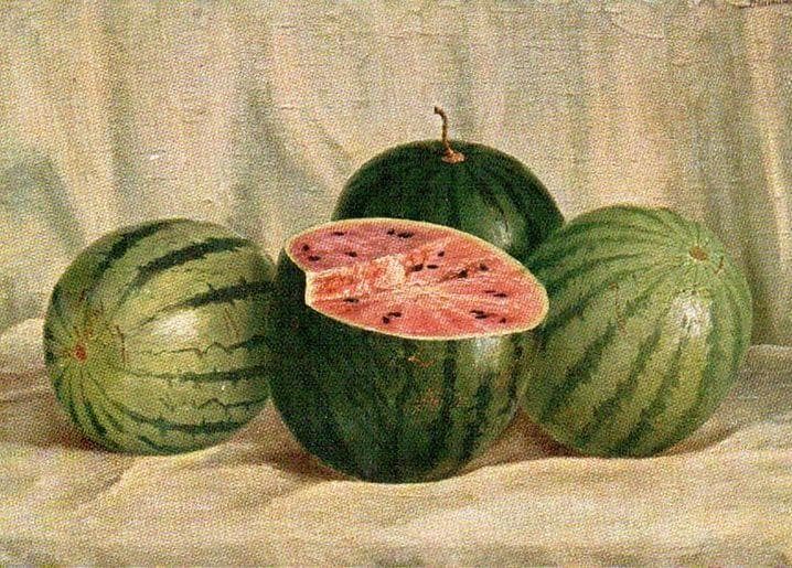 What Vampires Look Like Around The World