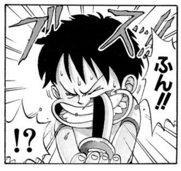 15 Major Differences Between The 'One Piece' Manga And Anime
