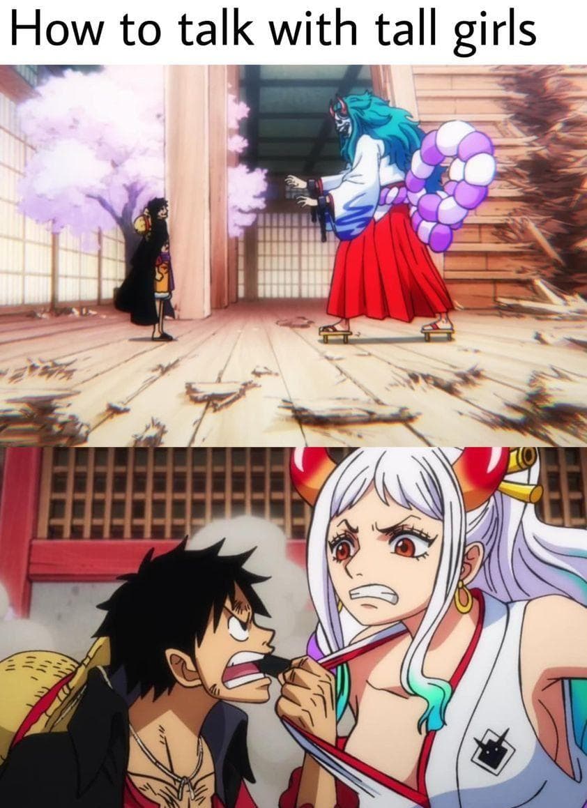 17 Random 'One Piece' Memes We Saw This Month That Made Us Laugh Way ...