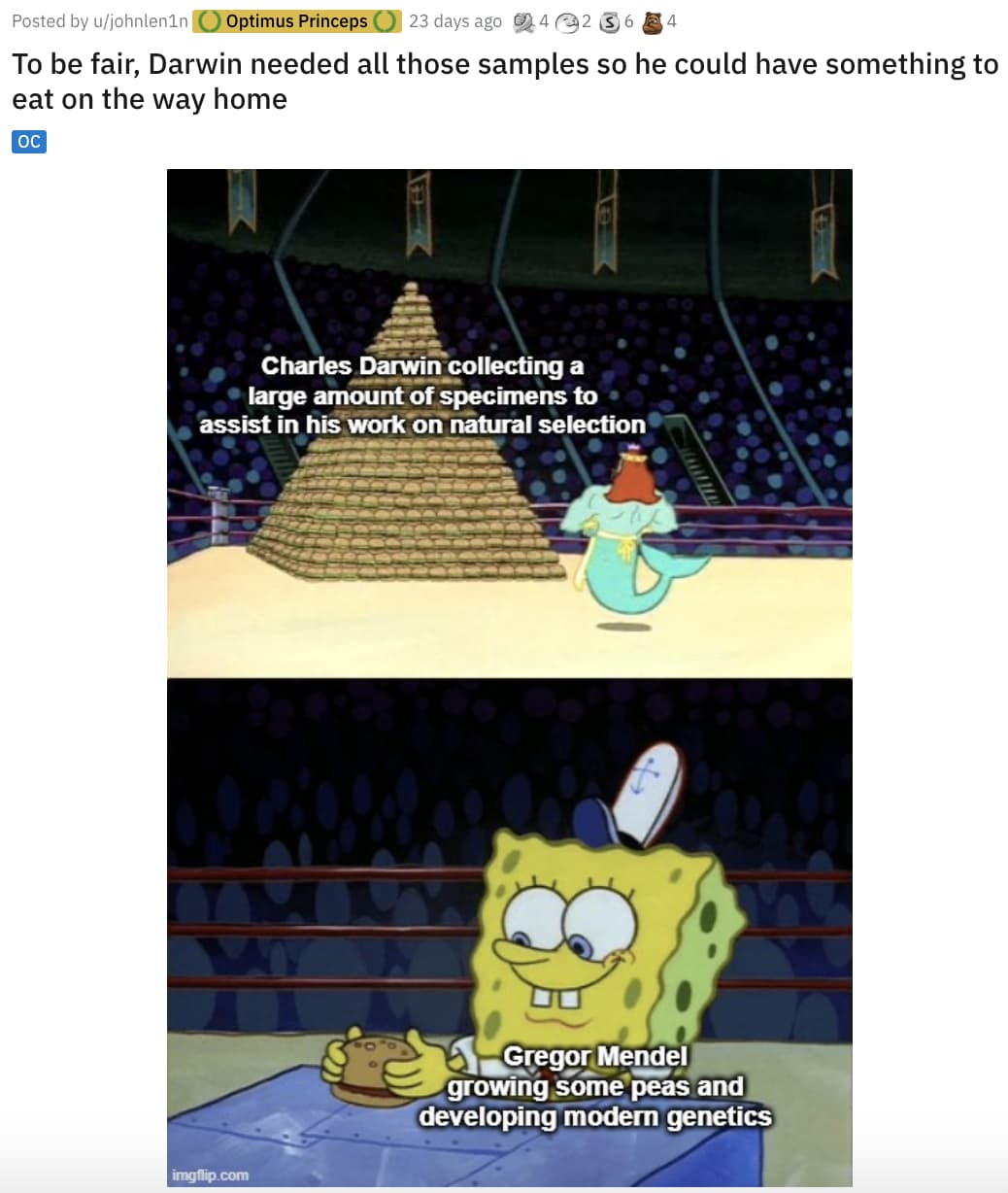 28 Funny Memes You Don't Have To Be A History Buff To Appreciate