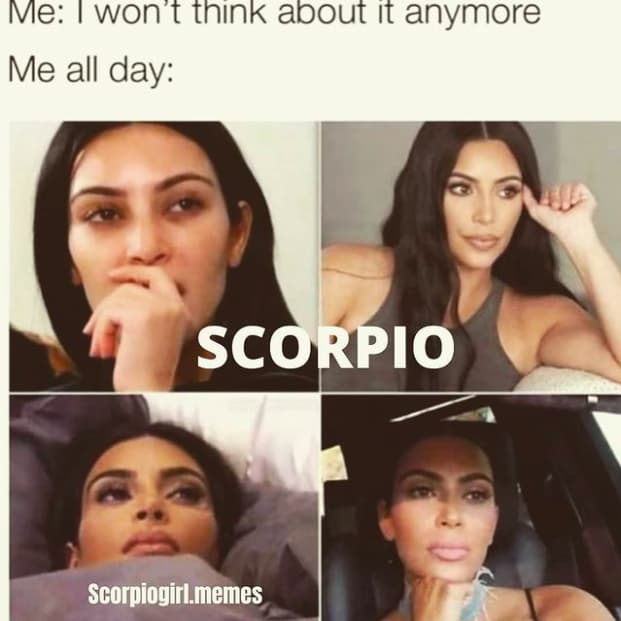 25 Scorpio Memes We Can Relate To