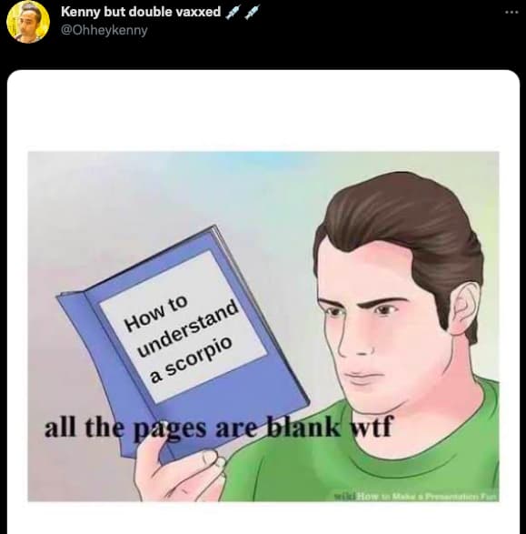 25 Scorpio Memes We Can Relate To