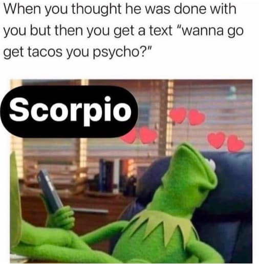 25 Scorpio Memes We Can Relate To