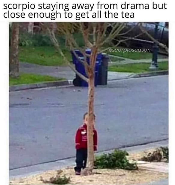 25 Scorpio Memes We Can Relate To